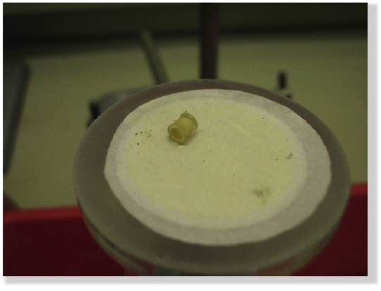 Radium particle analysis | Environmental Radioactivity Laboratory